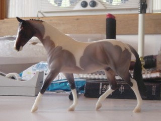 Meemo - Roan Pinto Test Version | StoneHorseRef