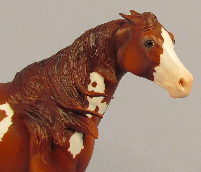 Chaz aka Cherry Hill | StoneHorseRef