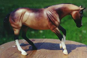 Smutty Dapple Buckskin PH by Sheri Rhodes | StoneHorseRef