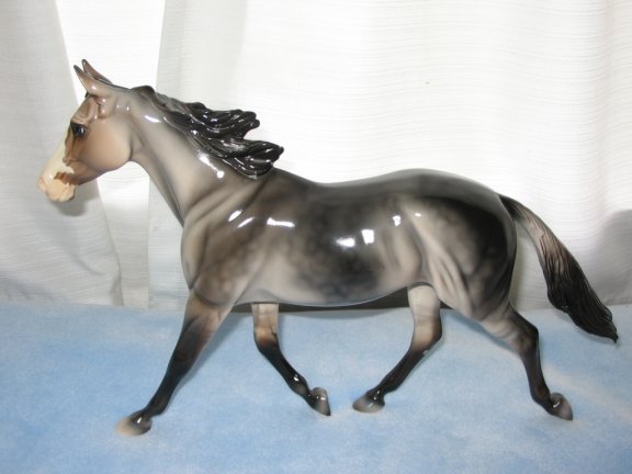 Rose Grey Dapple SR Palouse | StoneHorseRef