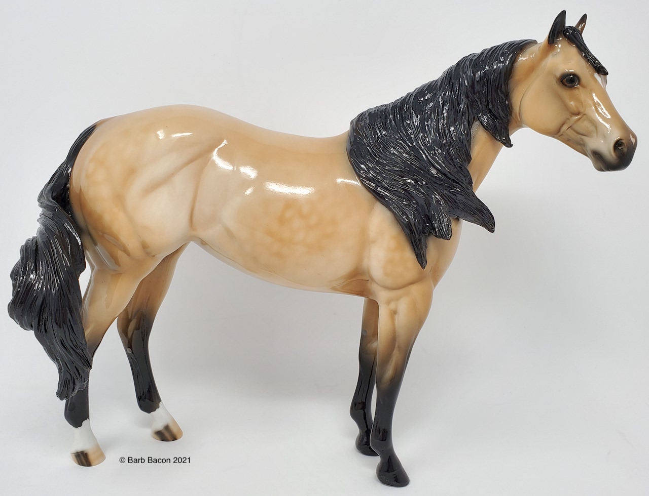 DAH Standard Buckskin Color | StoneHorseRef