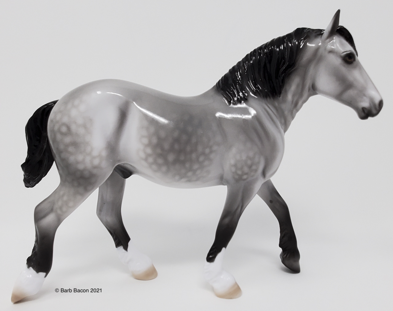 Silver Beau | StoneHorseRef