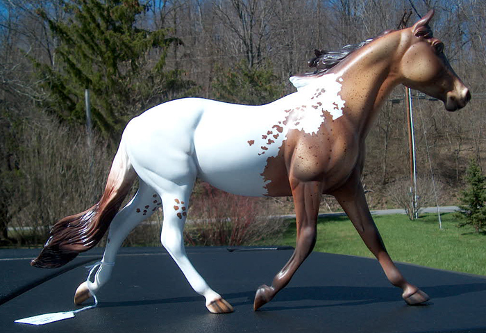 Houdini - Appaloosa Palouse | StoneHorseRef