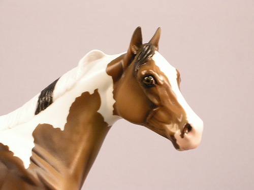 MacGregor | StoneHorseRef