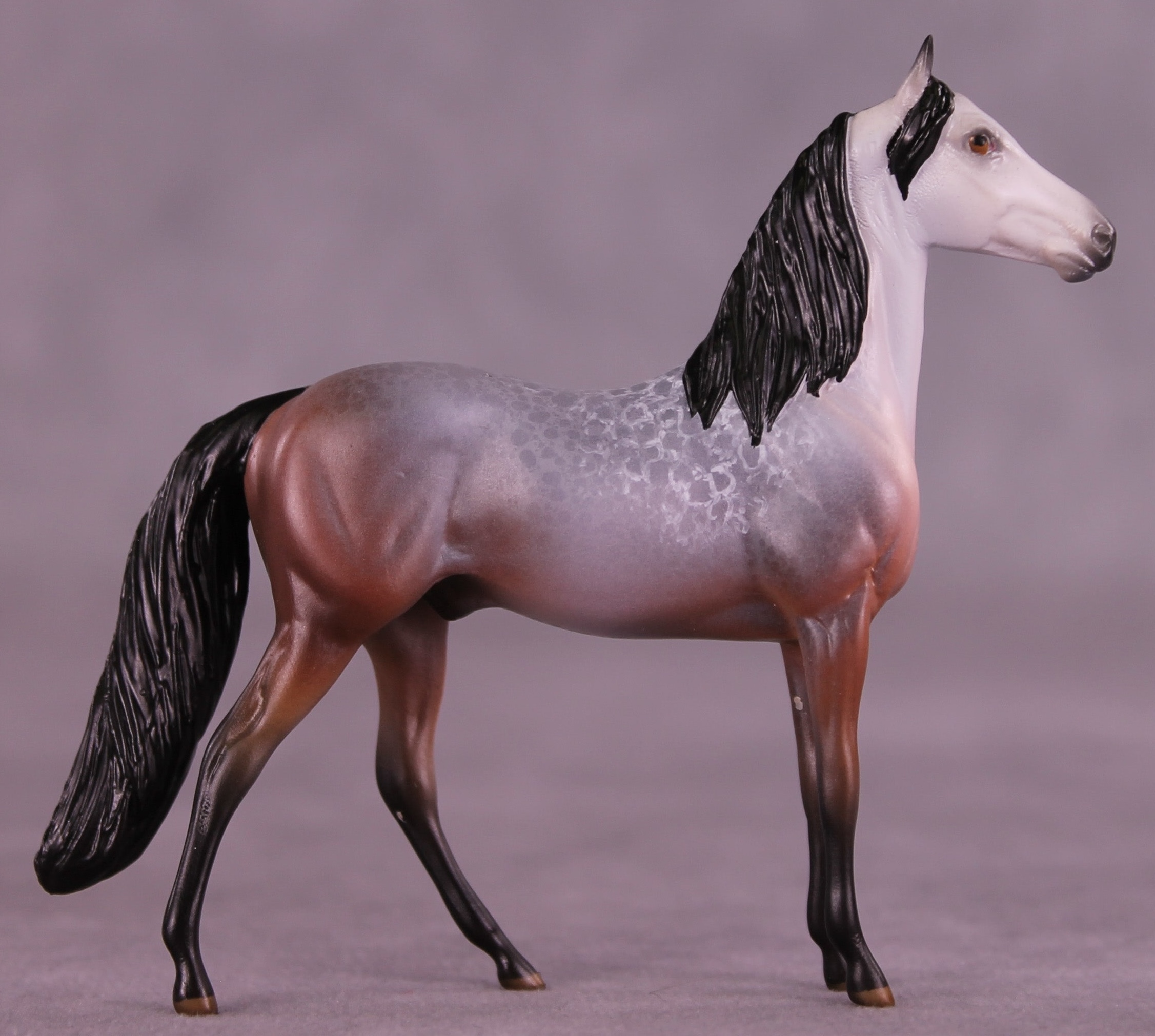A Pony For Christmas! - Reverse Dapple Rose Grey Morgan Chip ...