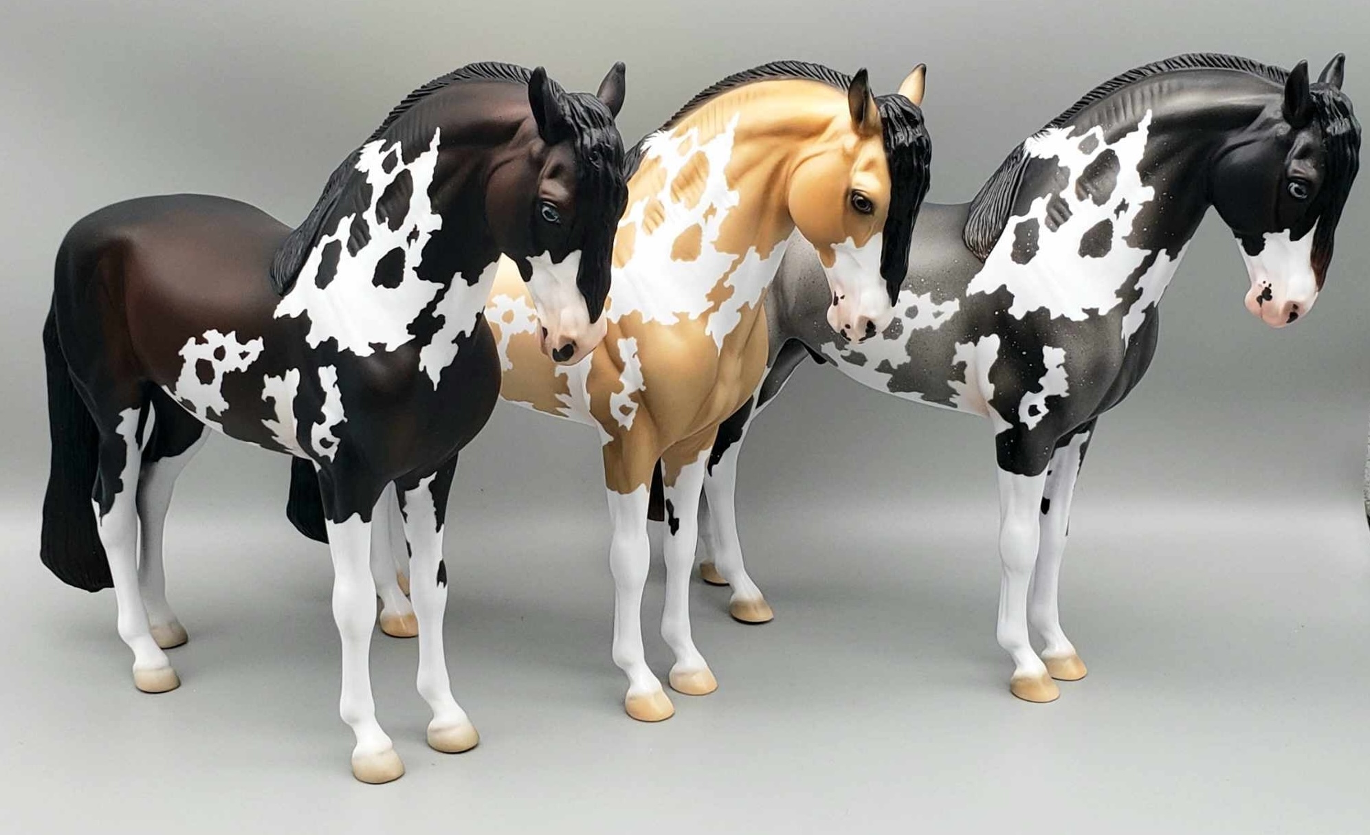 Loyalty Club 2023 Andalusian Release: Destello - Buckskin Criollo ...