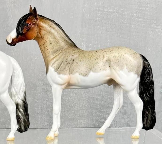 Sept 2024 Grab Bag Chips: Andalusian Series - Roan Splash Pinto ...