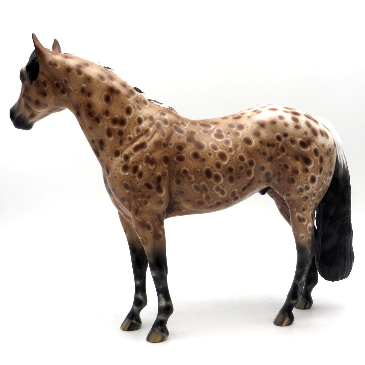 Apollo | StoneHorseRef