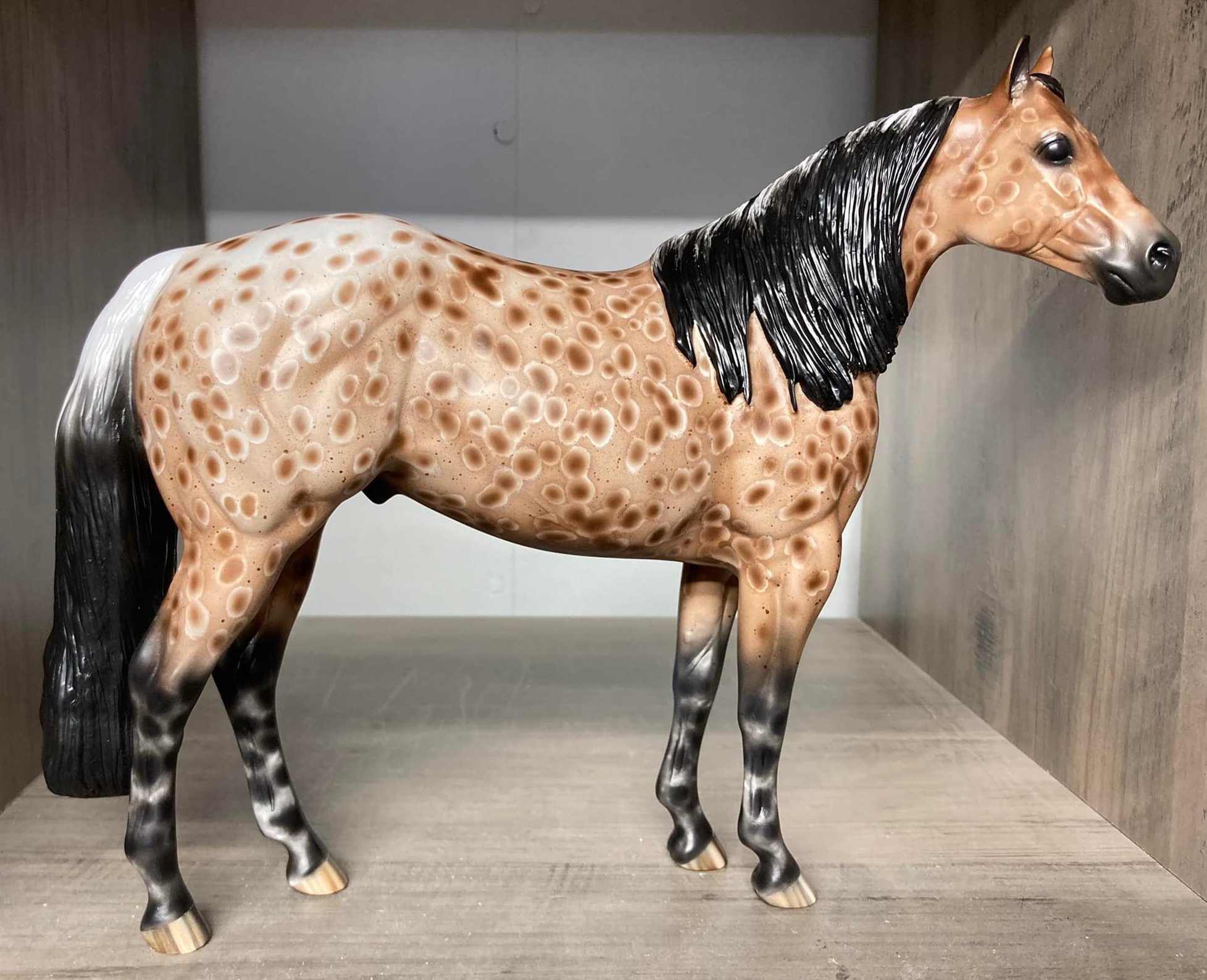 Apollo | StoneHorseRef