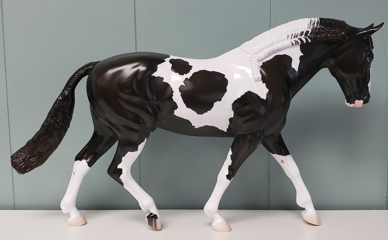 Loyalty Club 2024 March Irish Draught Release: Baroque - Black Pinto ...