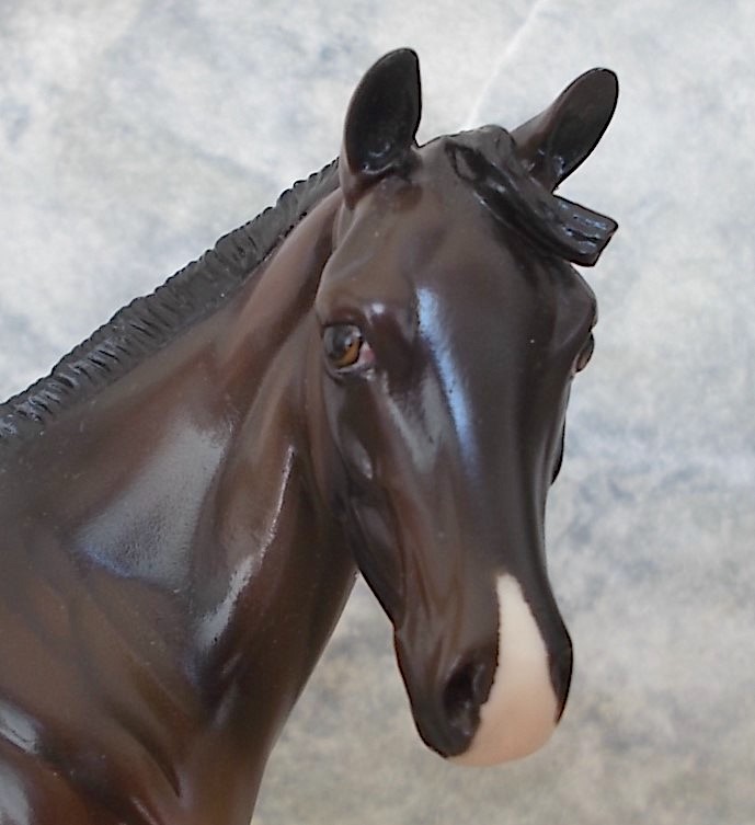 Bay Roan Appaloosa Weanling | StoneHorseRef