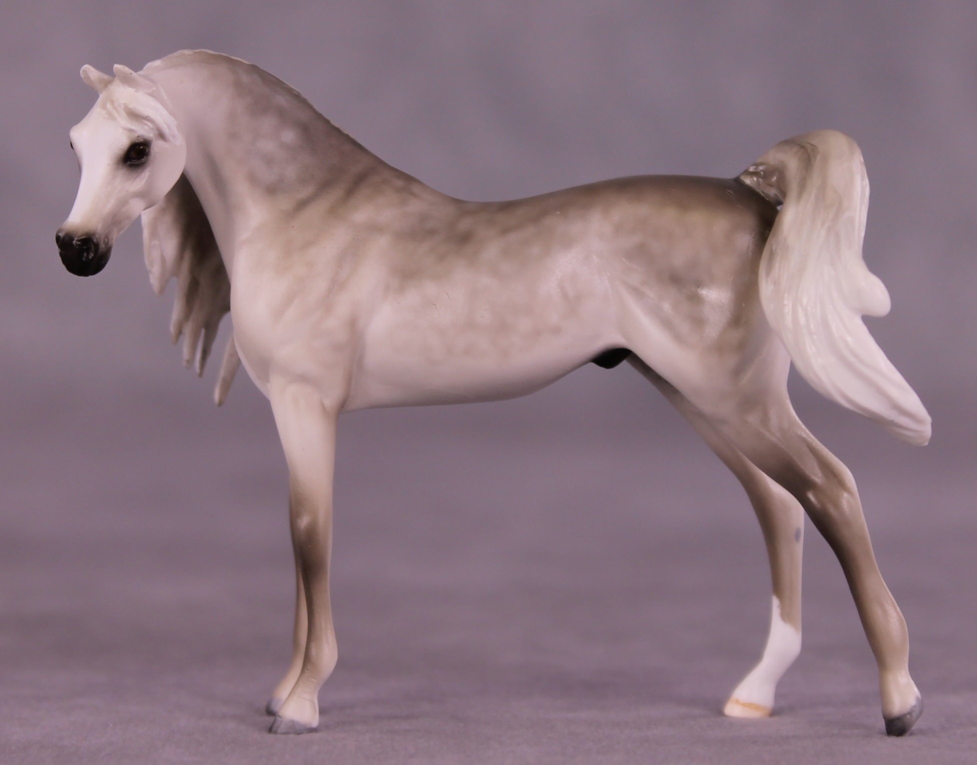 Gemstones 2025: September Arabians - Bin Al Purdy | StoneHorseRef