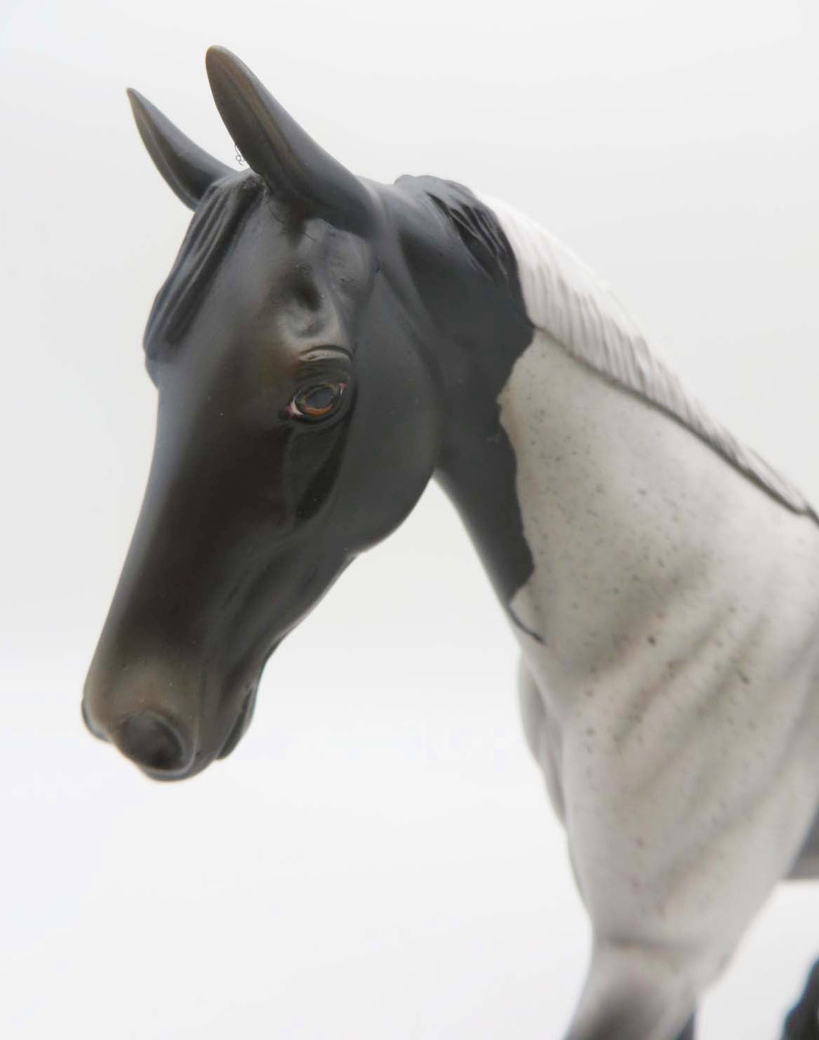 Boomer | StoneHorseRef