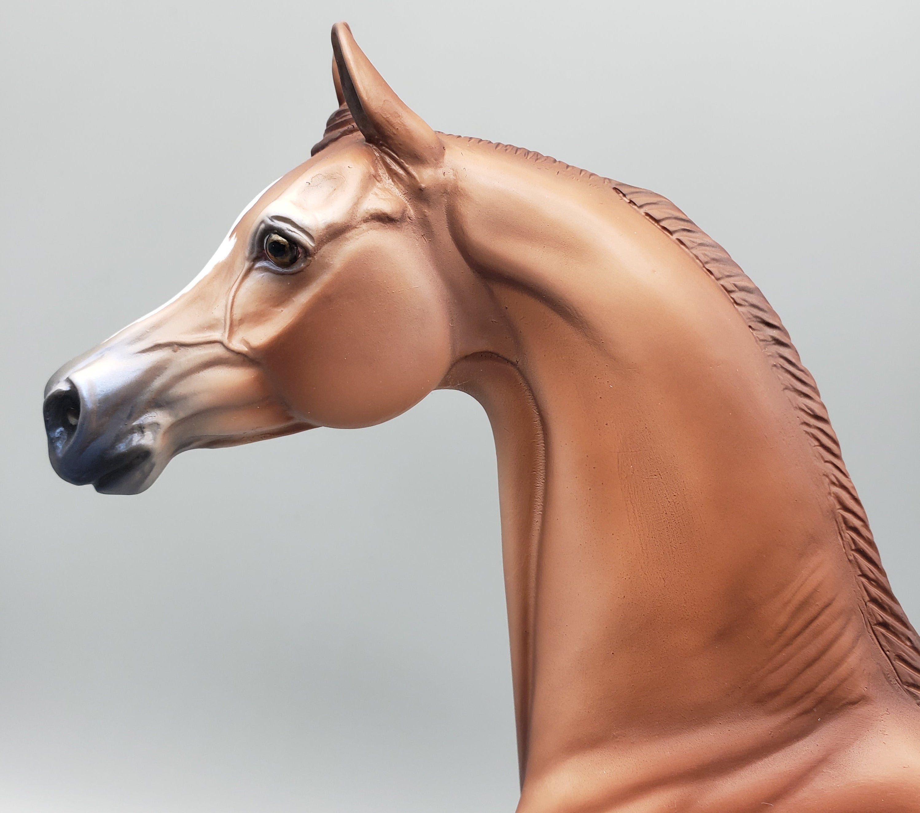 Buck | StoneHorseRef