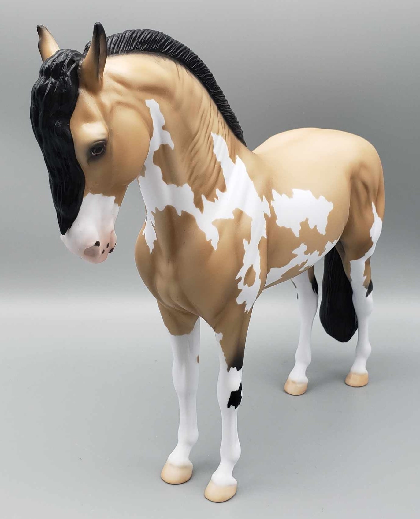 Loyalty Club 2023 Andalusian Release: Destello - Buckskin Criollo ...