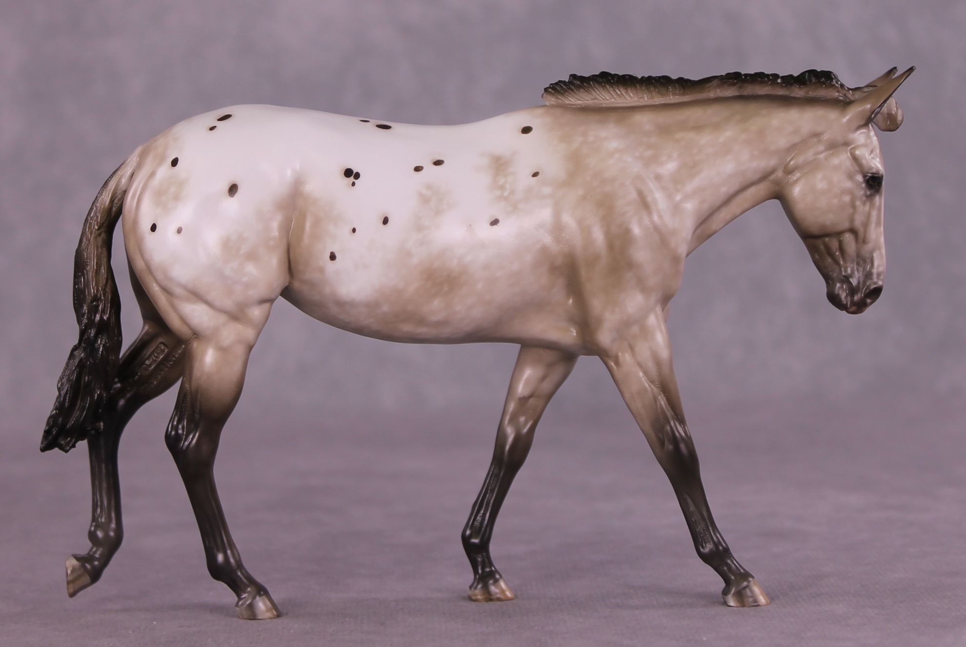Canoodle | StoneHorseRef