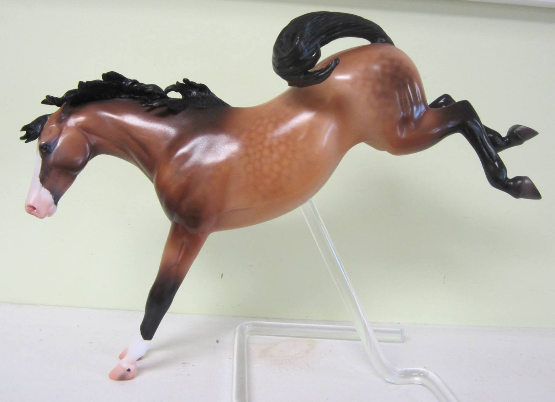 Carson | StoneHorseRef