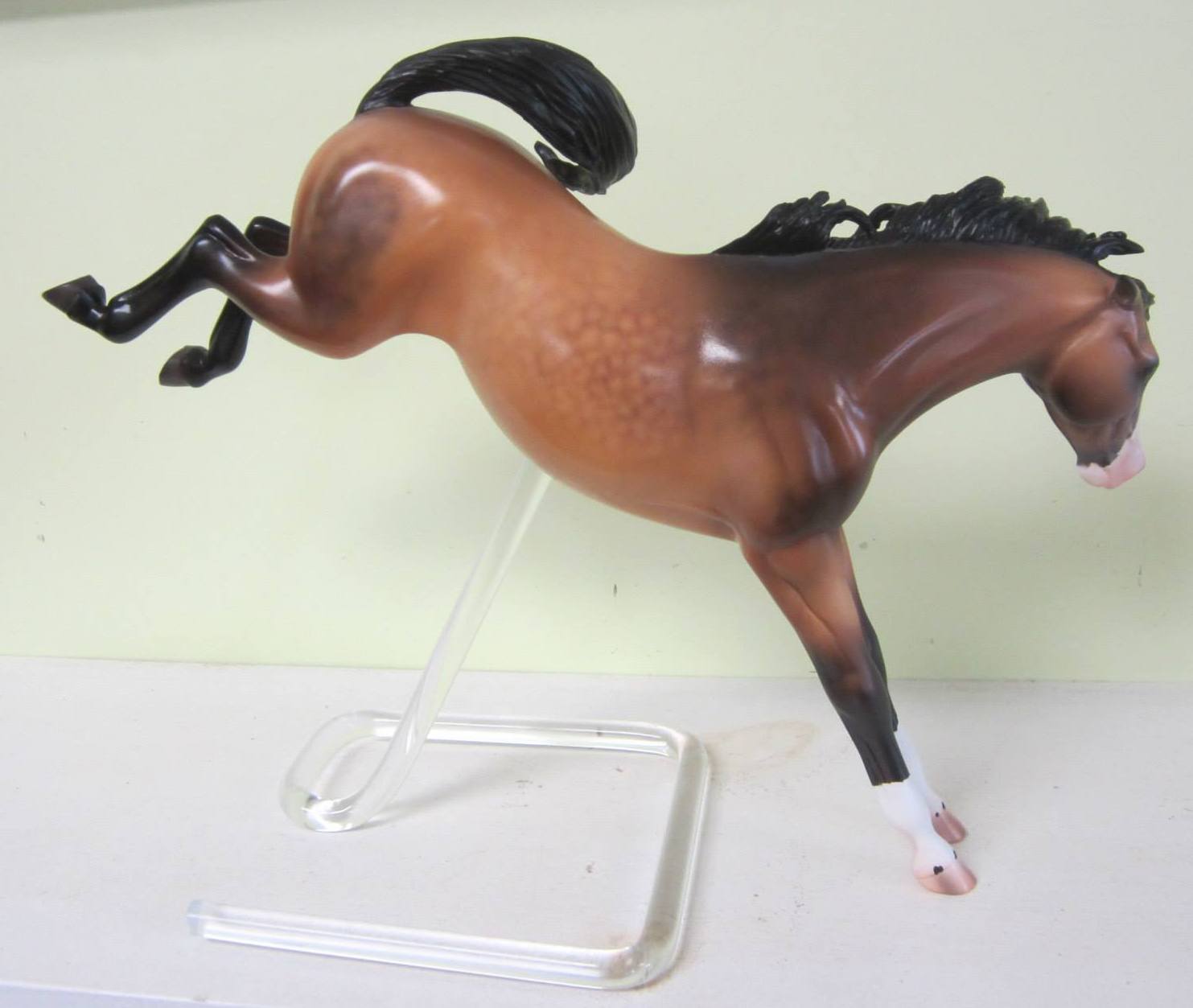 Carson | StoneHorseRef