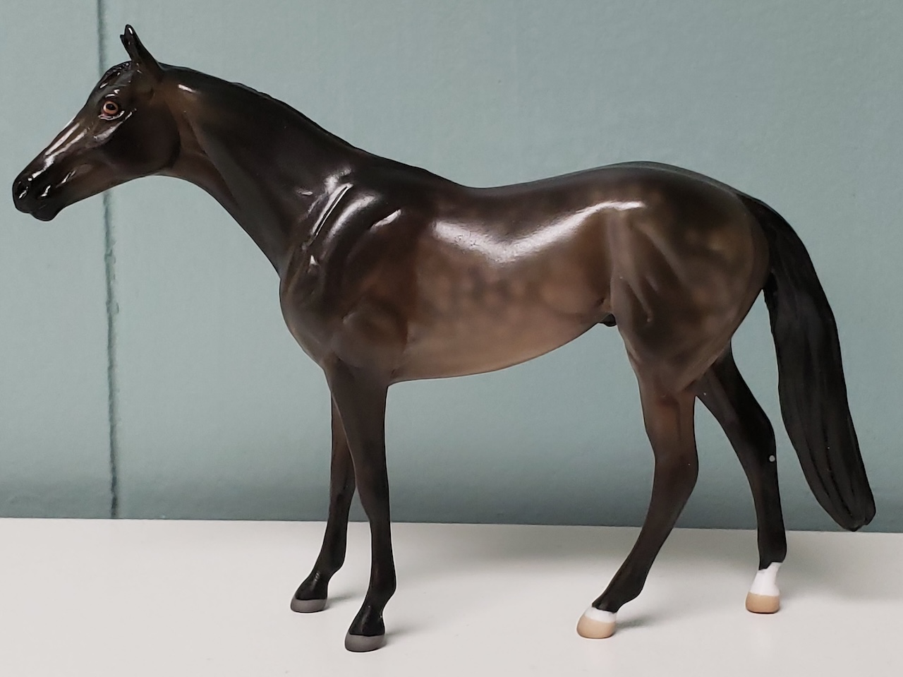 Casanova | StoneHorseRef