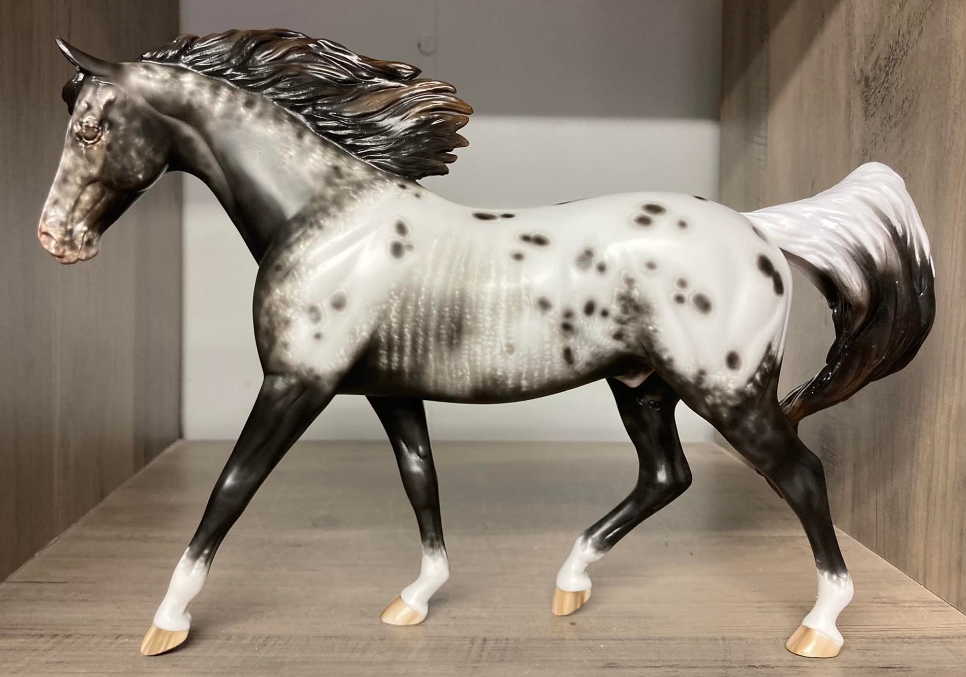 Cheyenne | StoneHorseRef