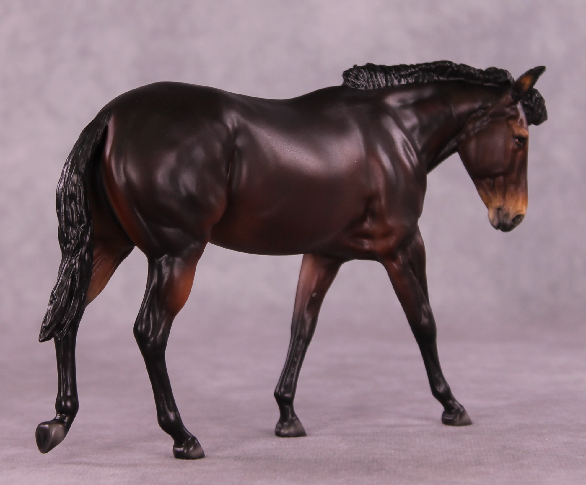 Cocoa | StoneHorseRef