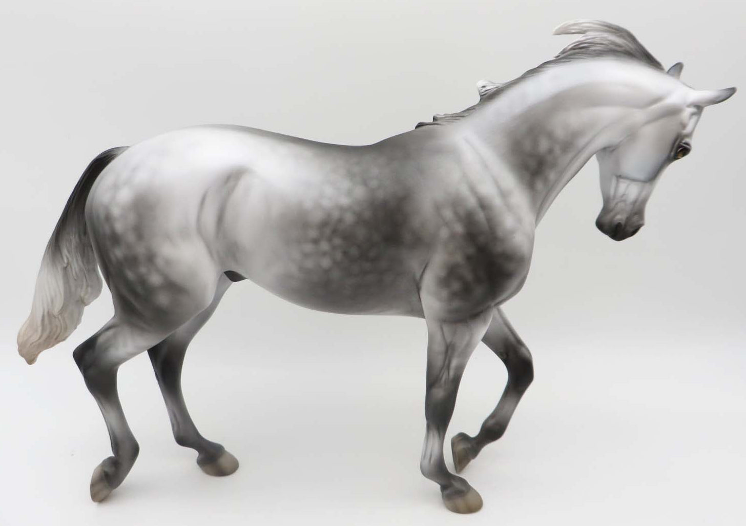 Congo | StoneHorseRef