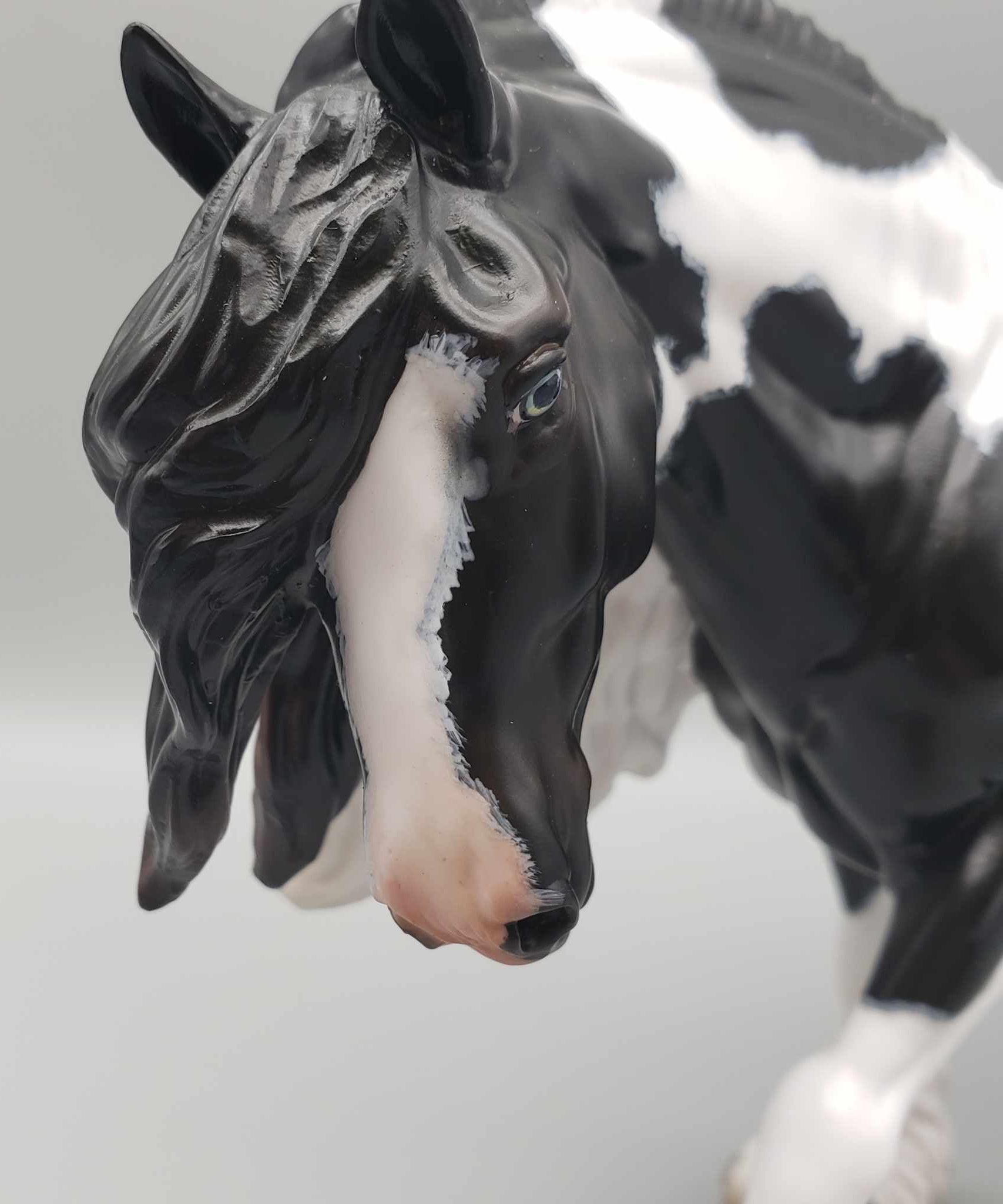 Cormac | StoneHorseRef