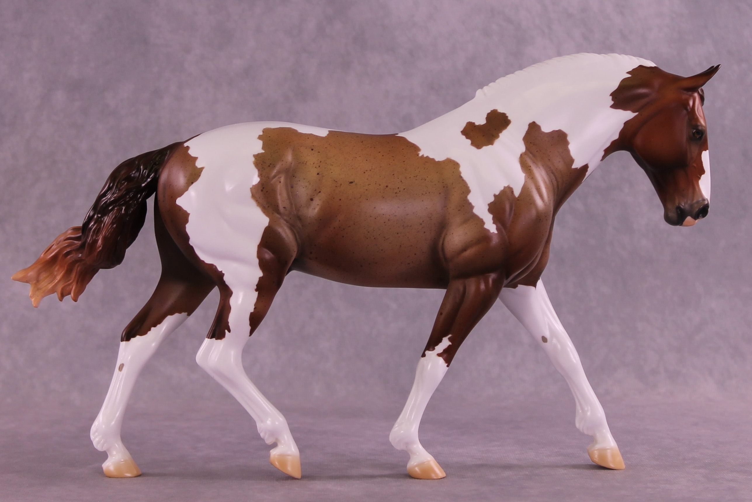 Edwin | StoneHorseRef