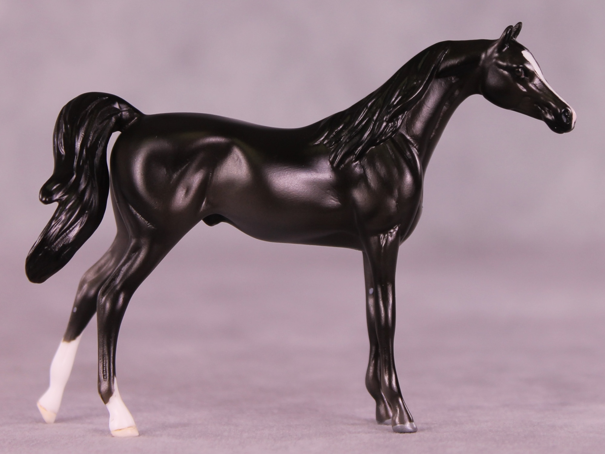 Gemstones 2025: September Arabians - El Shetan | StoneHorseRef