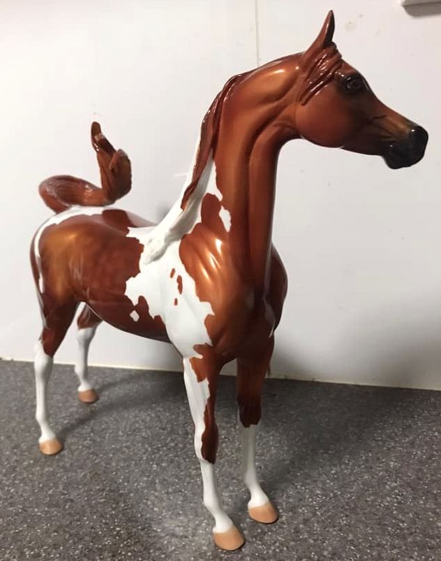 Equilocity 2017 Champion Trophy | StoneHorseRef