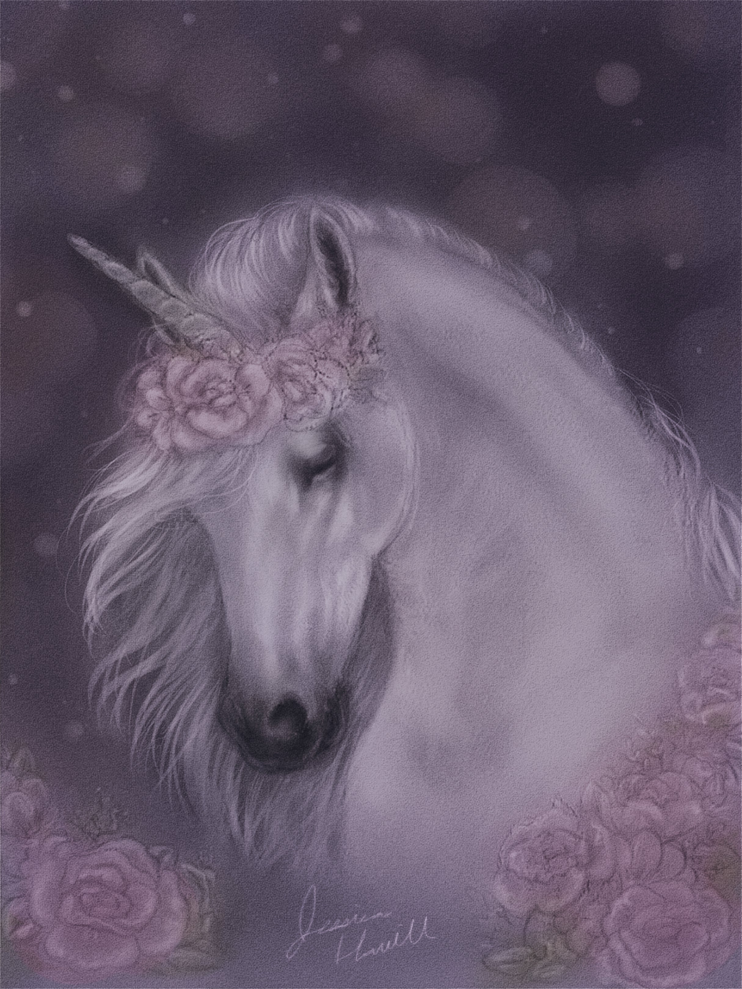 Equilocity 2022 Basket - Persephone | StoneHorseRef