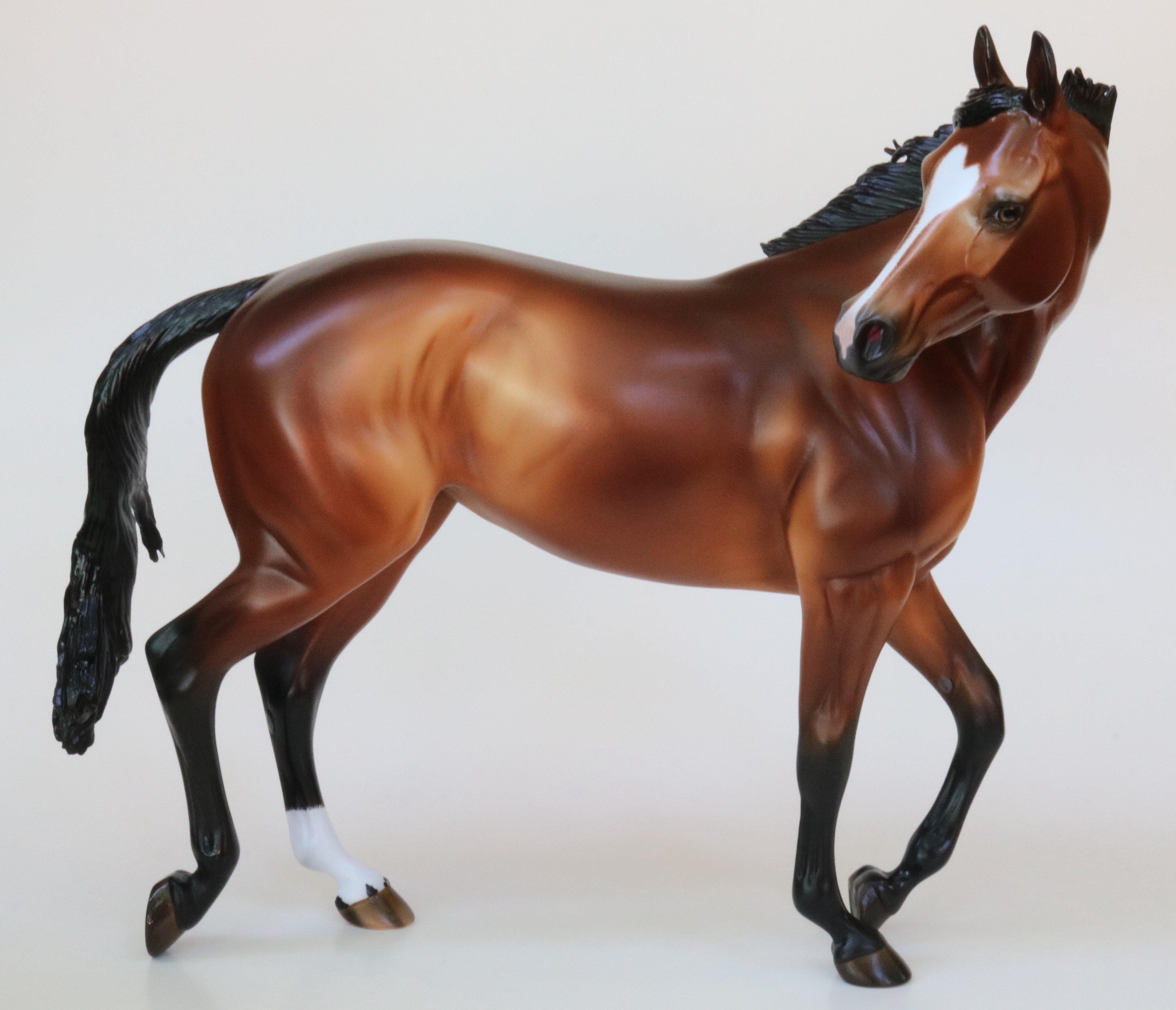 Equilocity 2023 Basket - Last Ride | StoneHorseRef