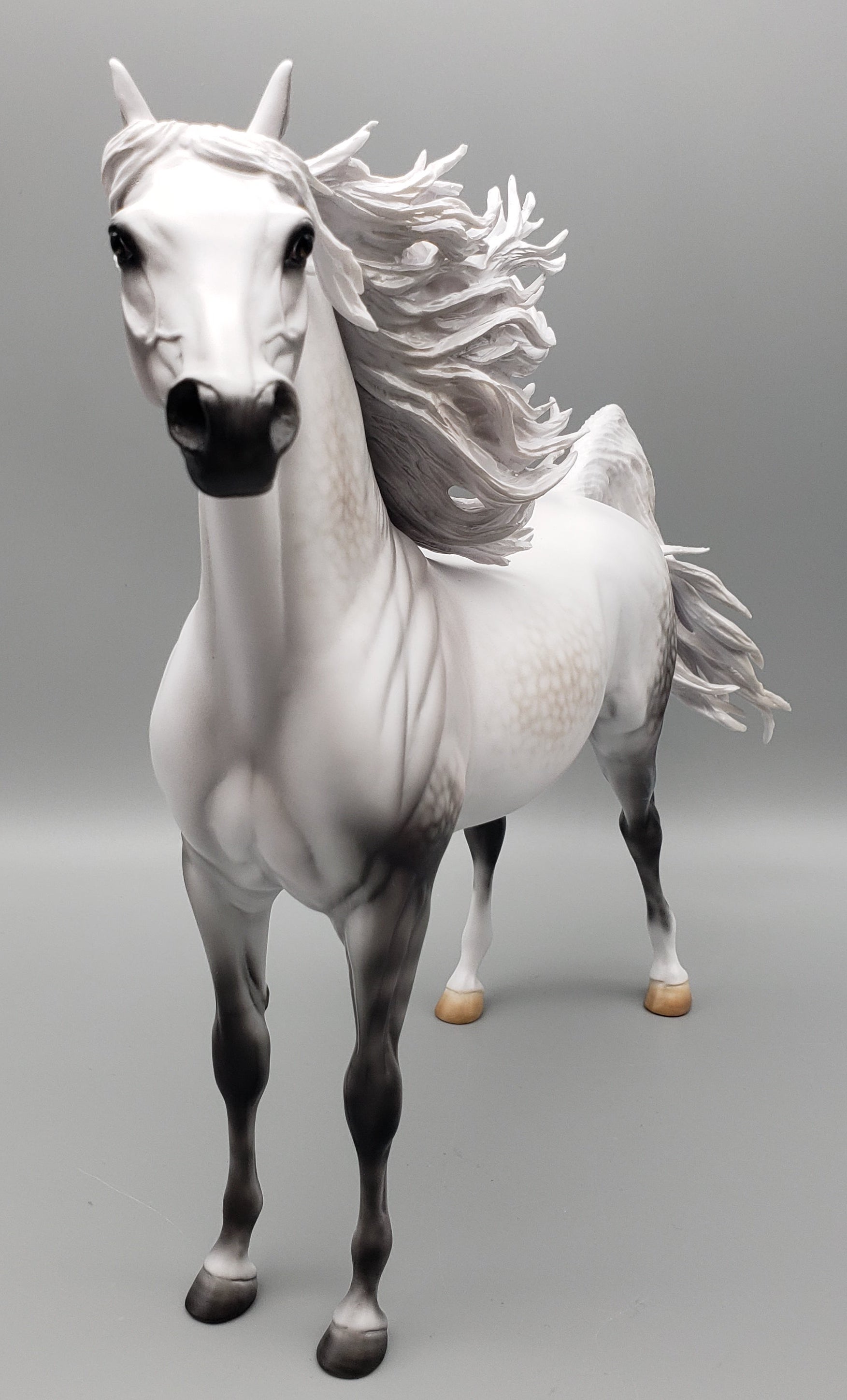 Equilocity 2023 Basket - Out From The Night | StoneHorseRef