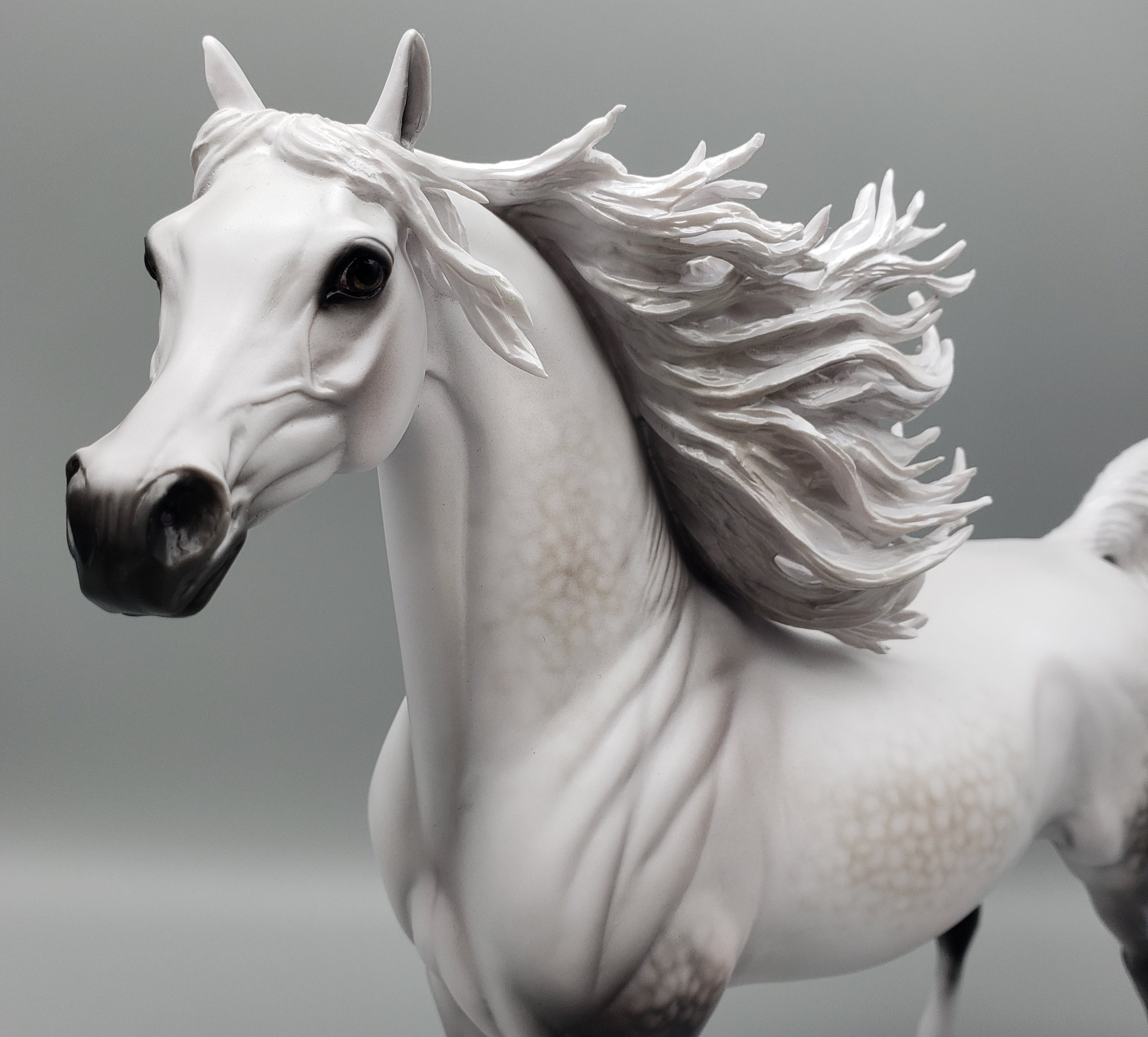 Equilocity 2023 Basket - Out From The Night | StoneHorseRef