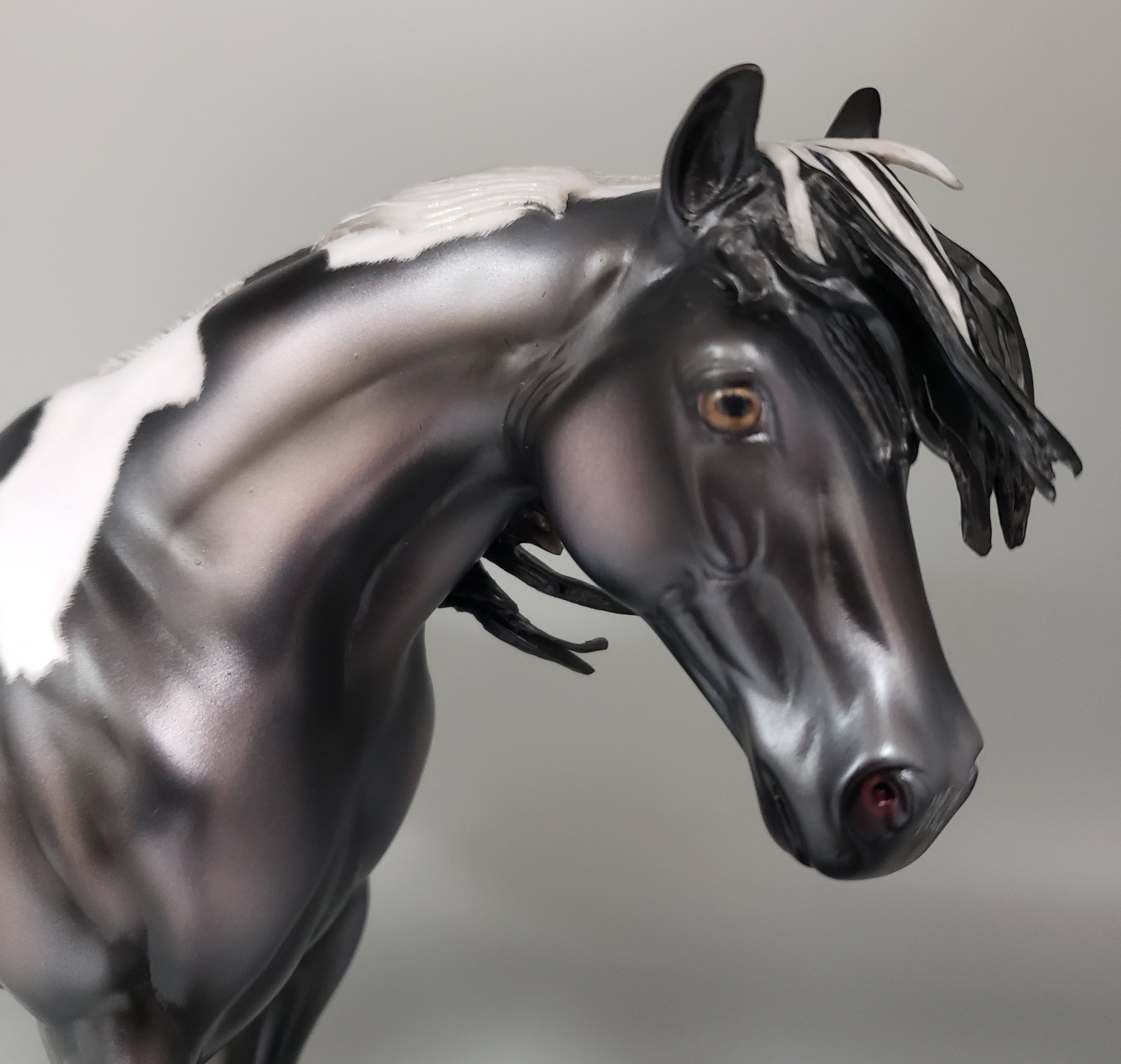 Equilocity 2023 Basket - Reflection of Stars | StoneHorseRef