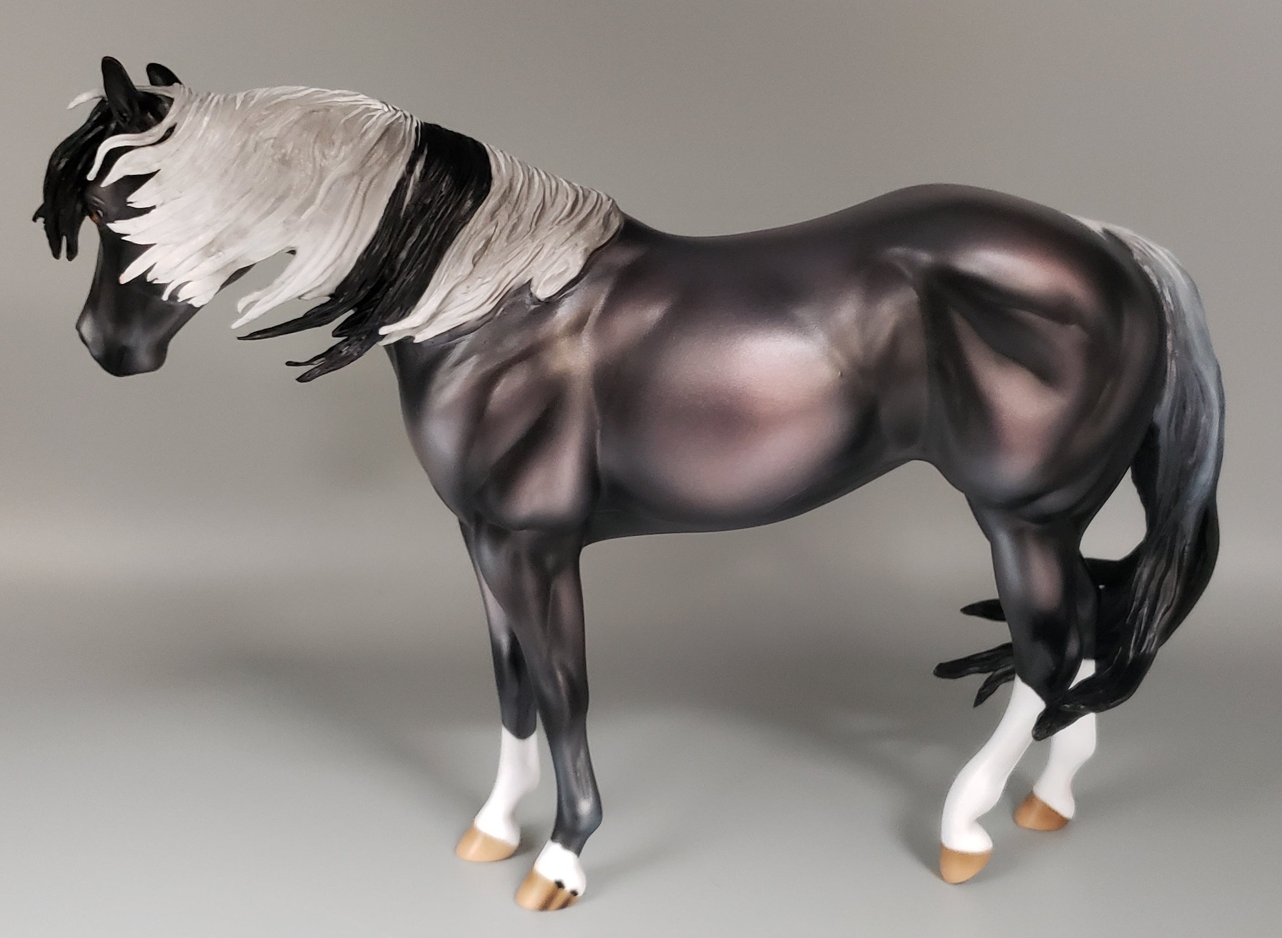 Equilocity 2023 Basket - Reflection of Stars | StoneHorseRef