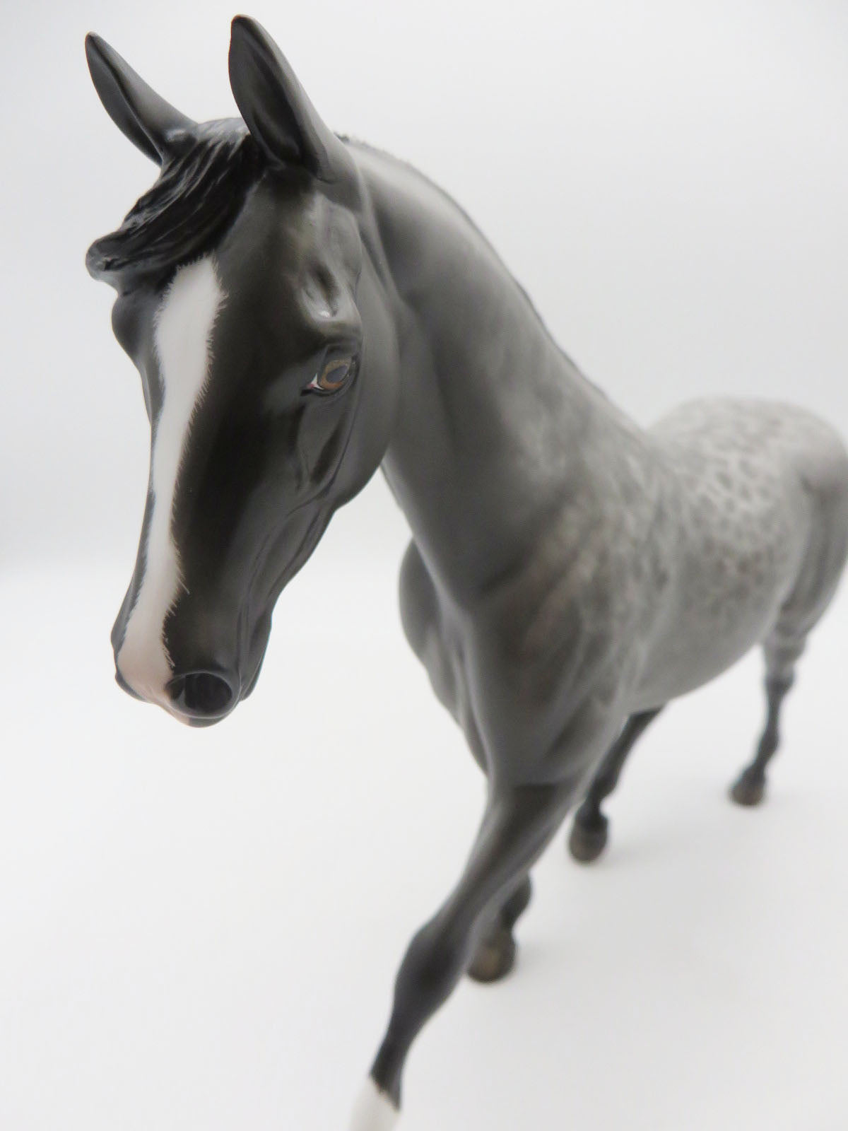 Golly Moses | StoneHorseRef