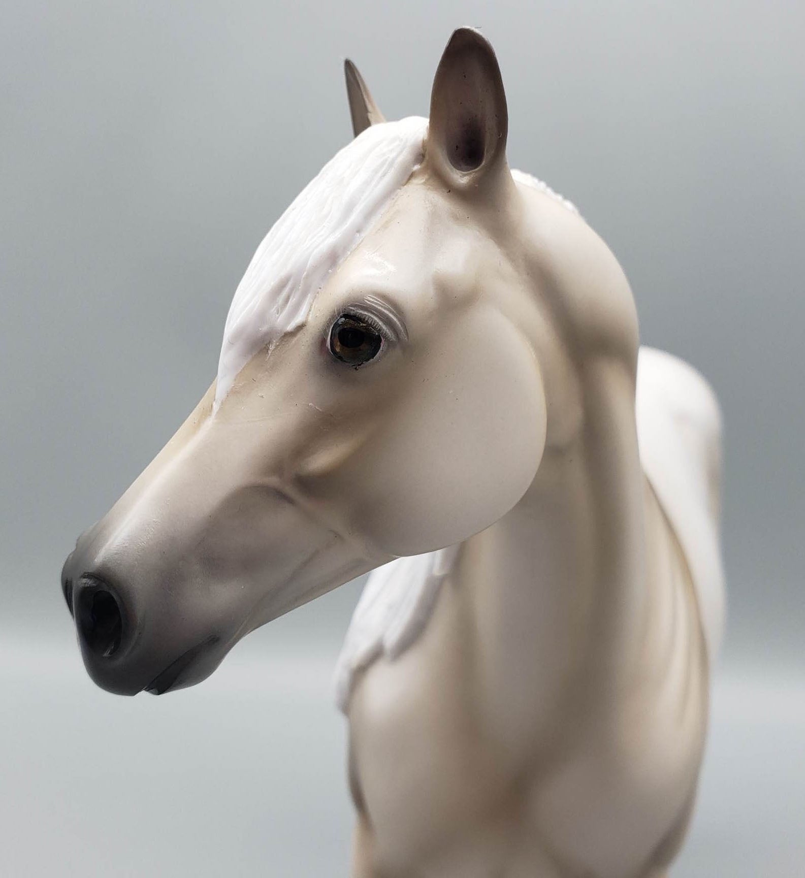 Heza Country Star | StoneHorseRef