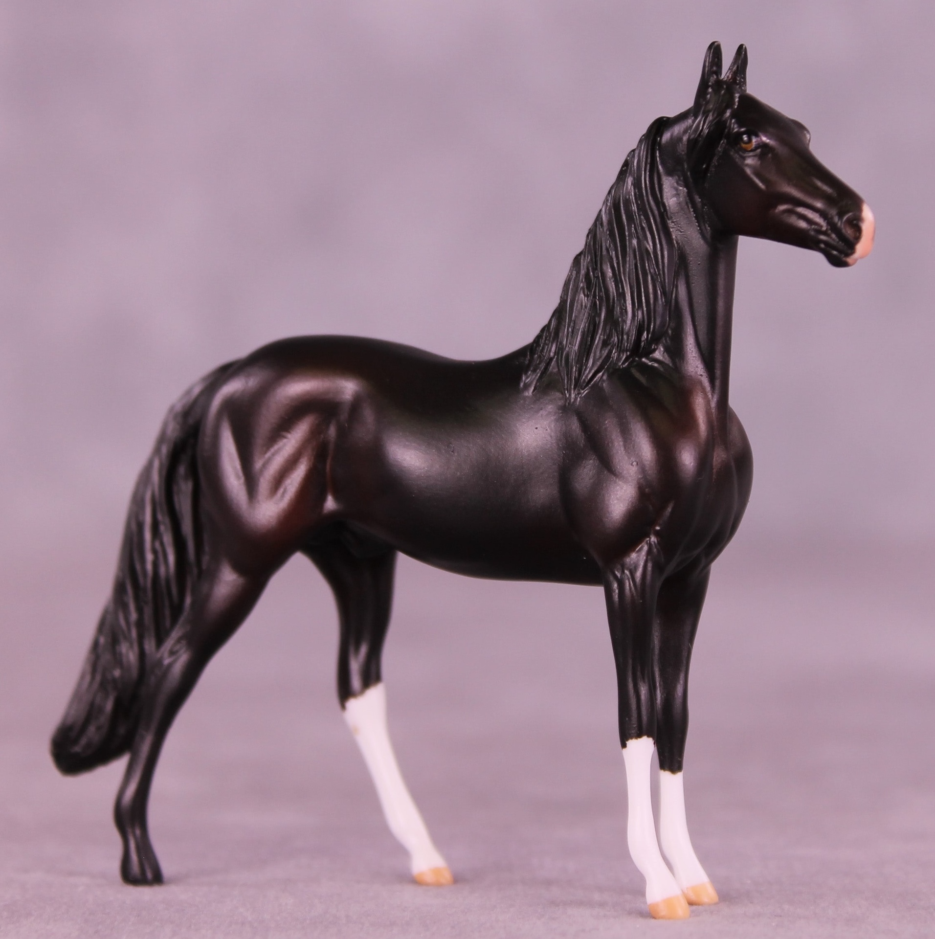 Jet | StoneHorseRef