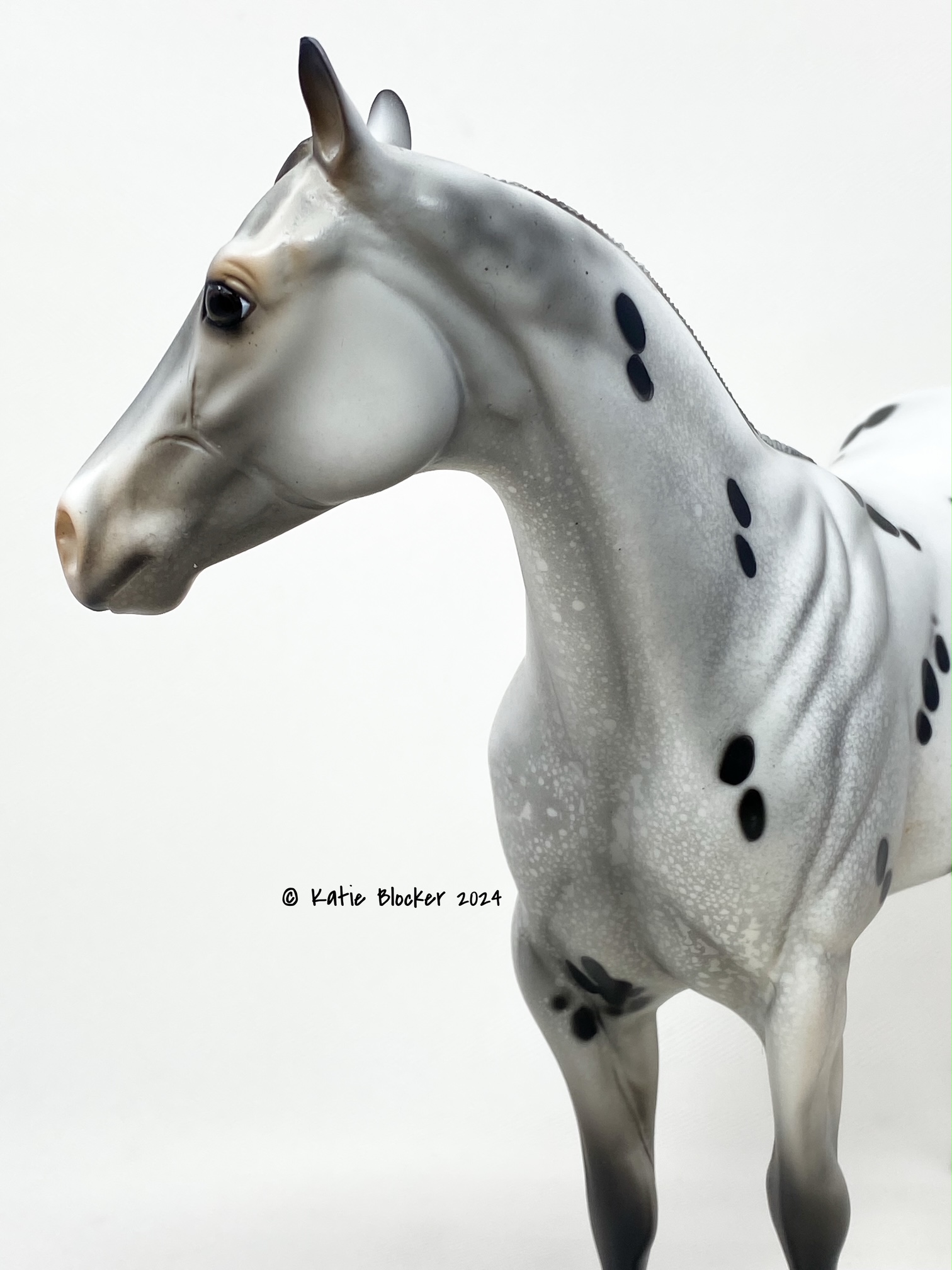 Josher | StoneHorseRef