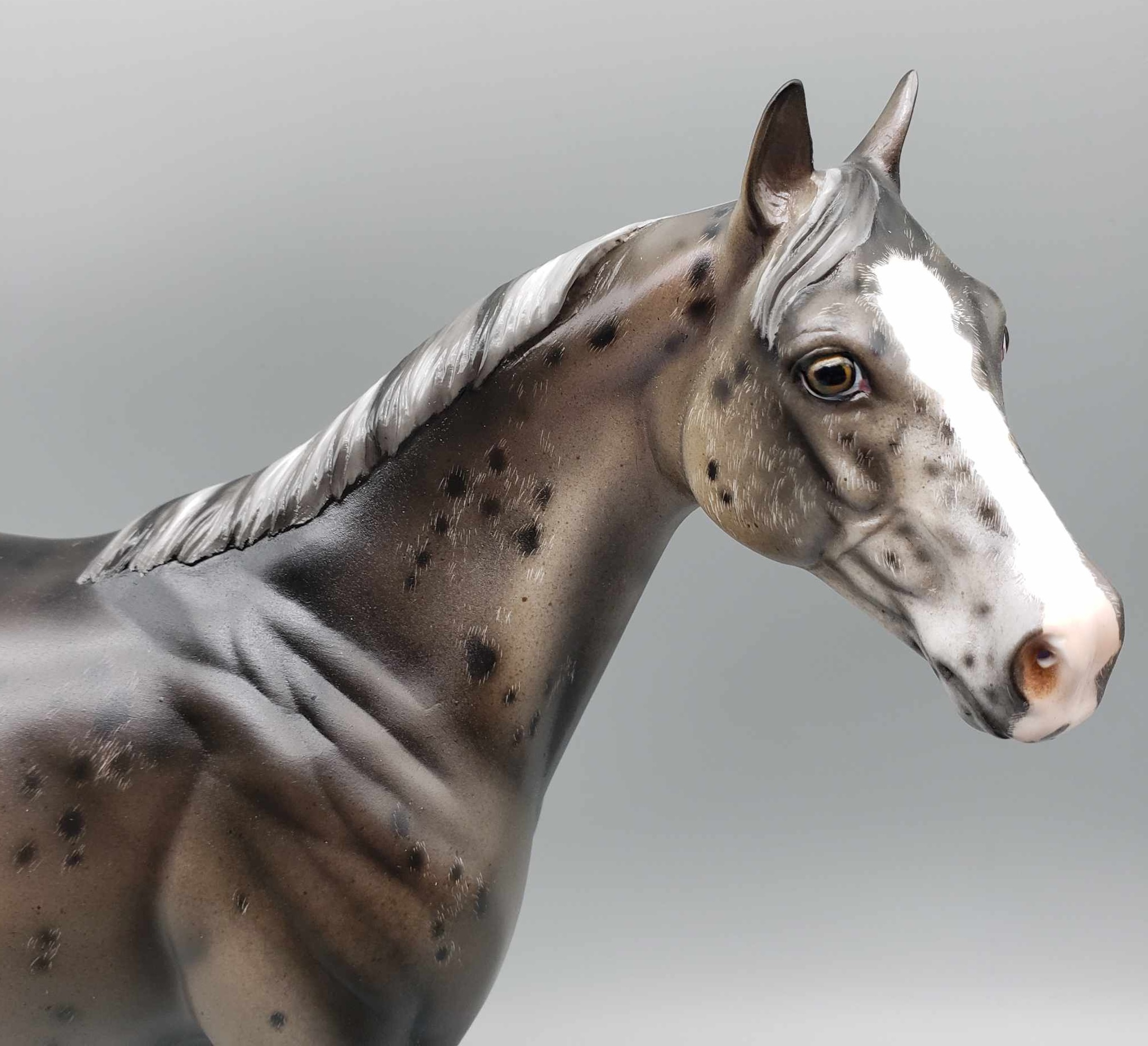 Karamu | StoneHorseRef