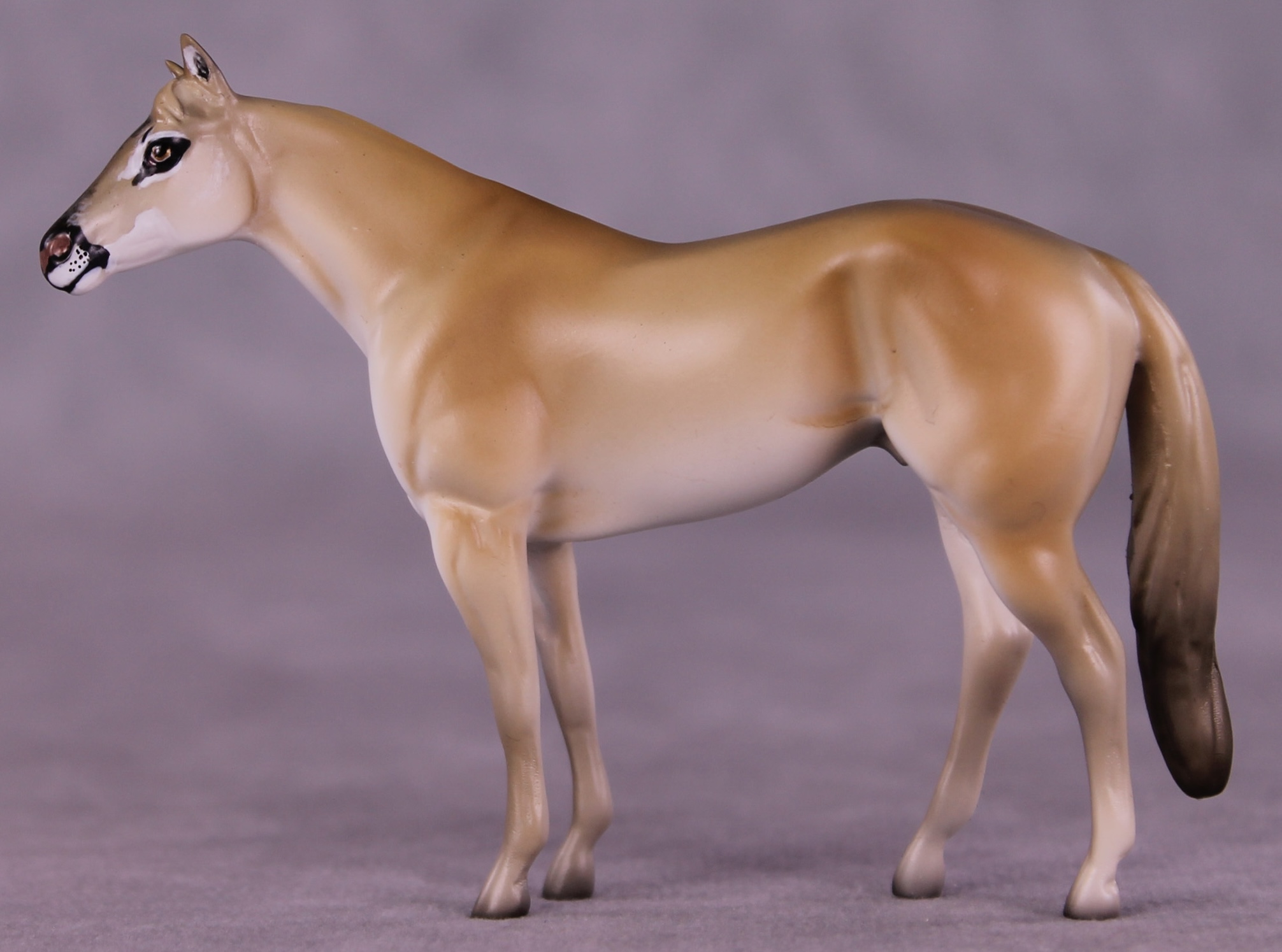 Menagerie: North America - Louie | StoneHorseRef