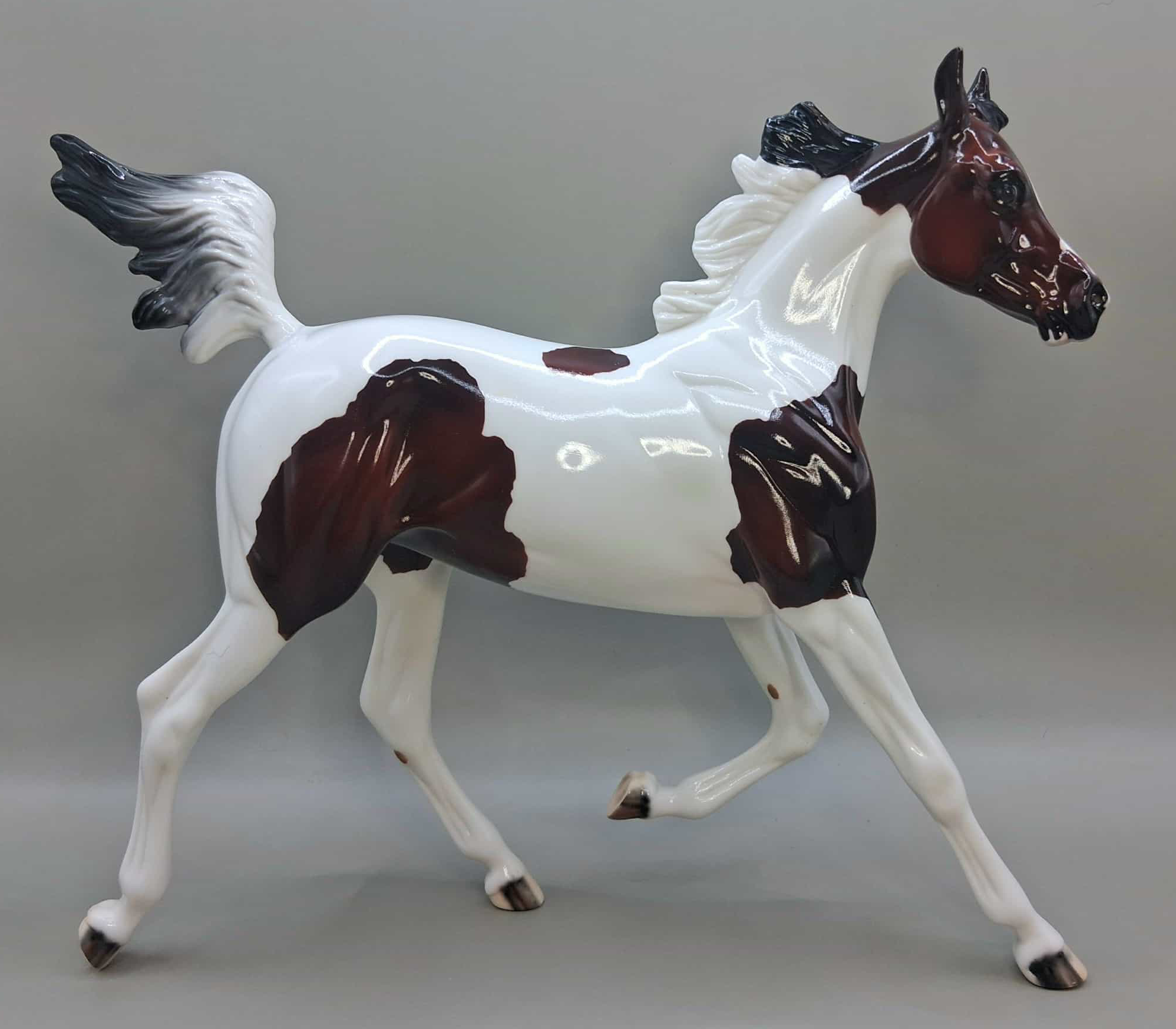 Mystery Bay Pinto Arabian Yearling | StoneHorseRef