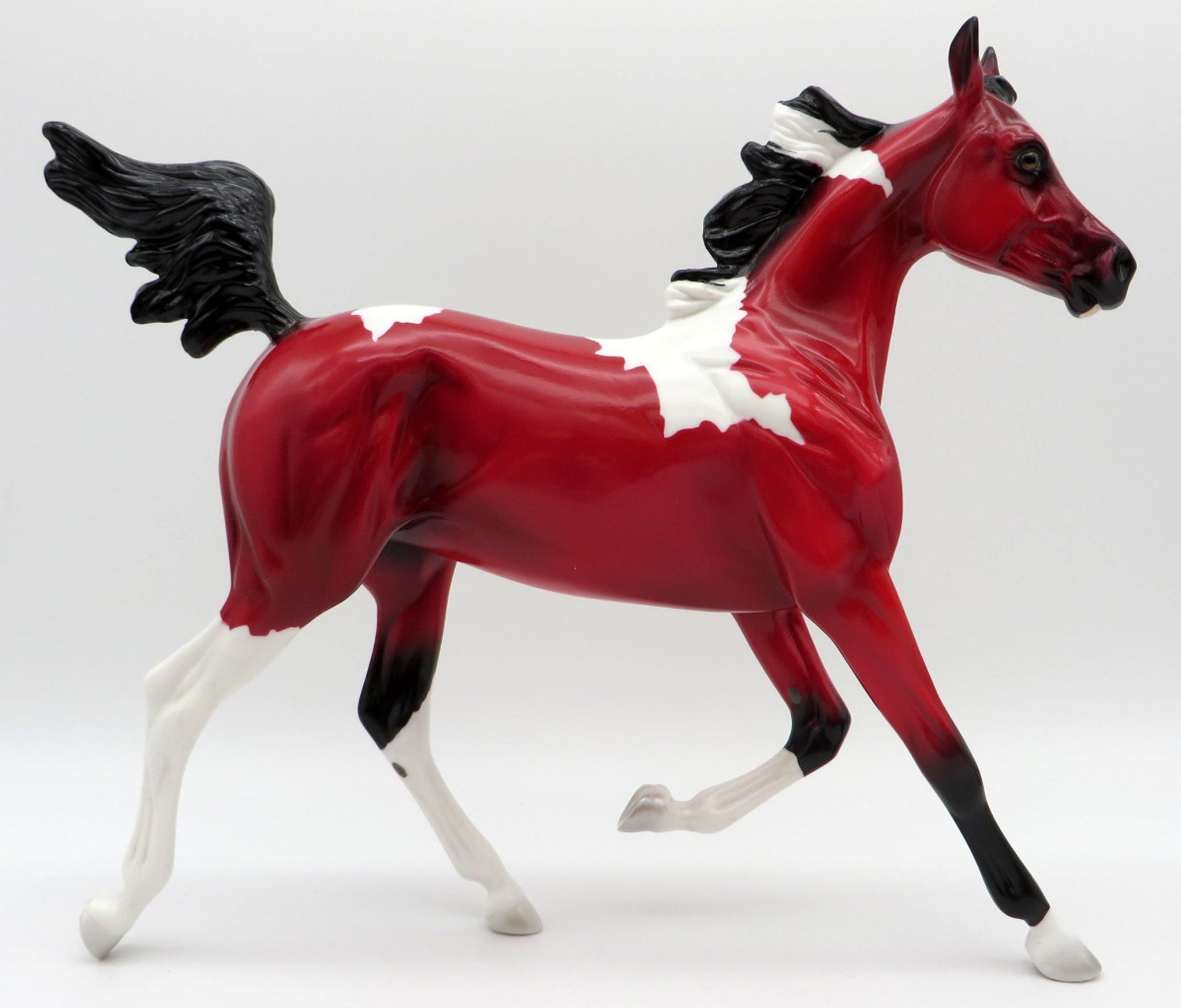 Ruby: Arabian Yearling - Pula Nga | StoneHorseRef