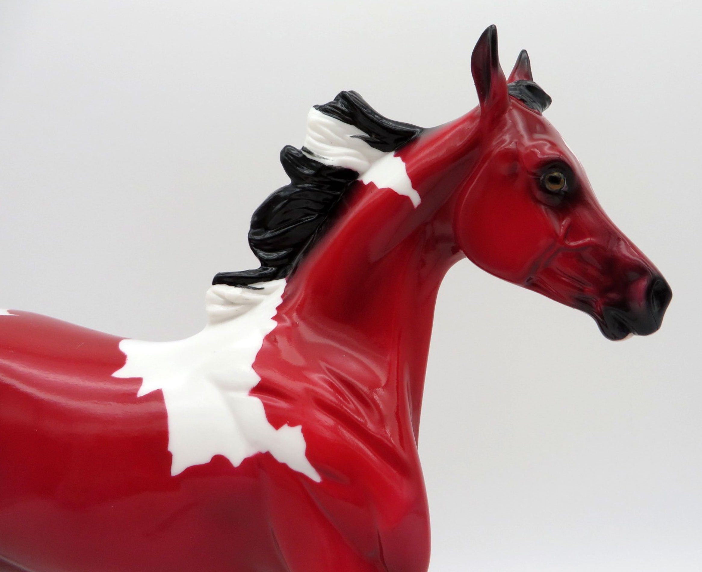 Ruby: Arabian Yearling - Pula Nga | StoneHorseRef