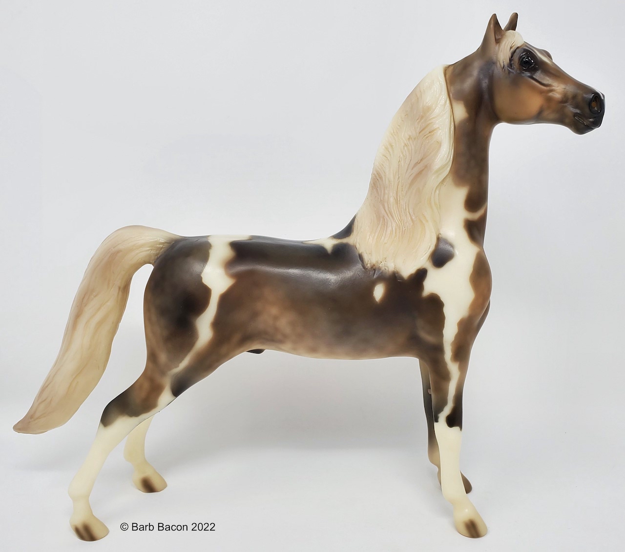 Silver Dapple Bay Tobiano Morgan | StoneHorseRef