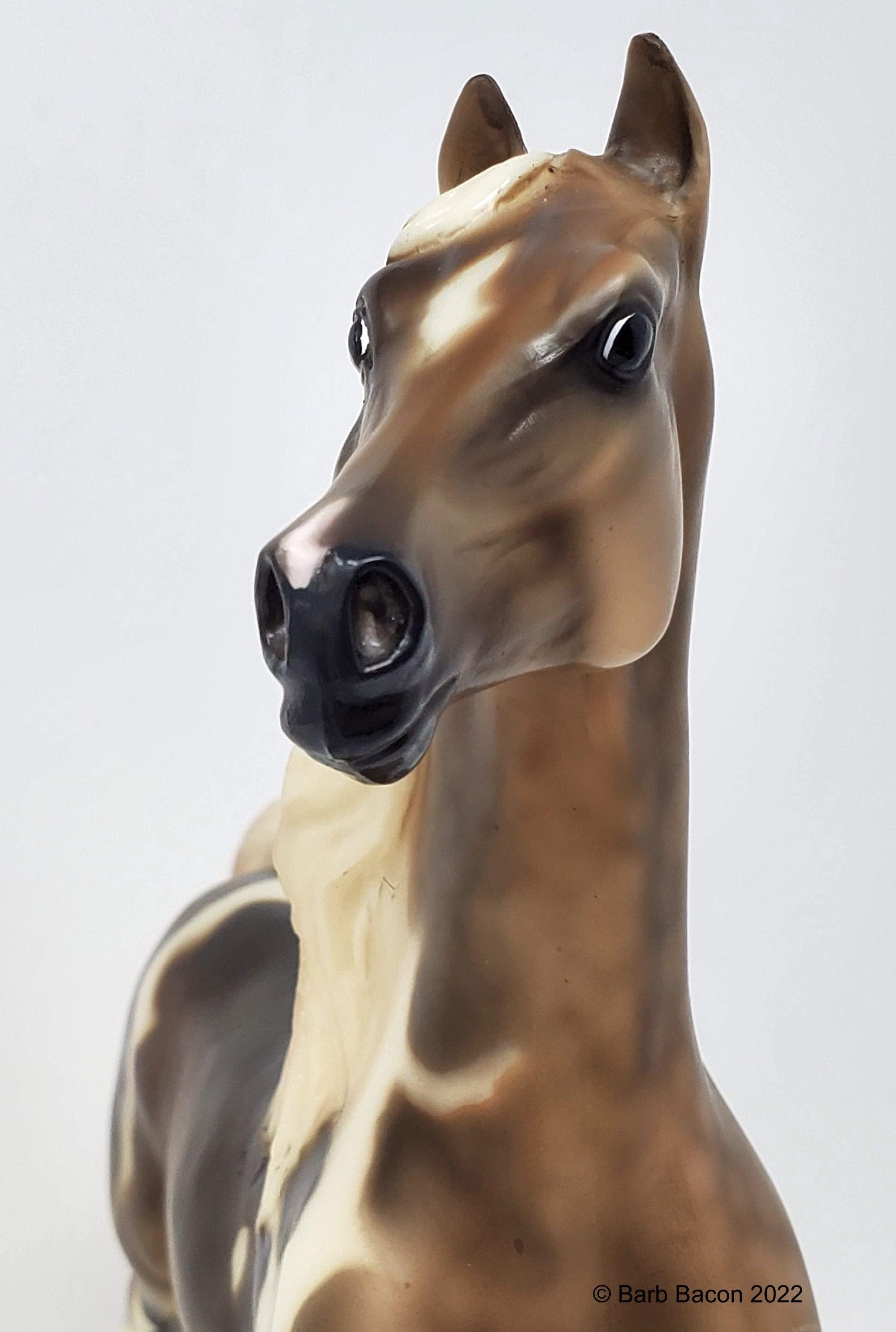 Silver Dapple Bay Tobiano Morgan | StoneHorseRef