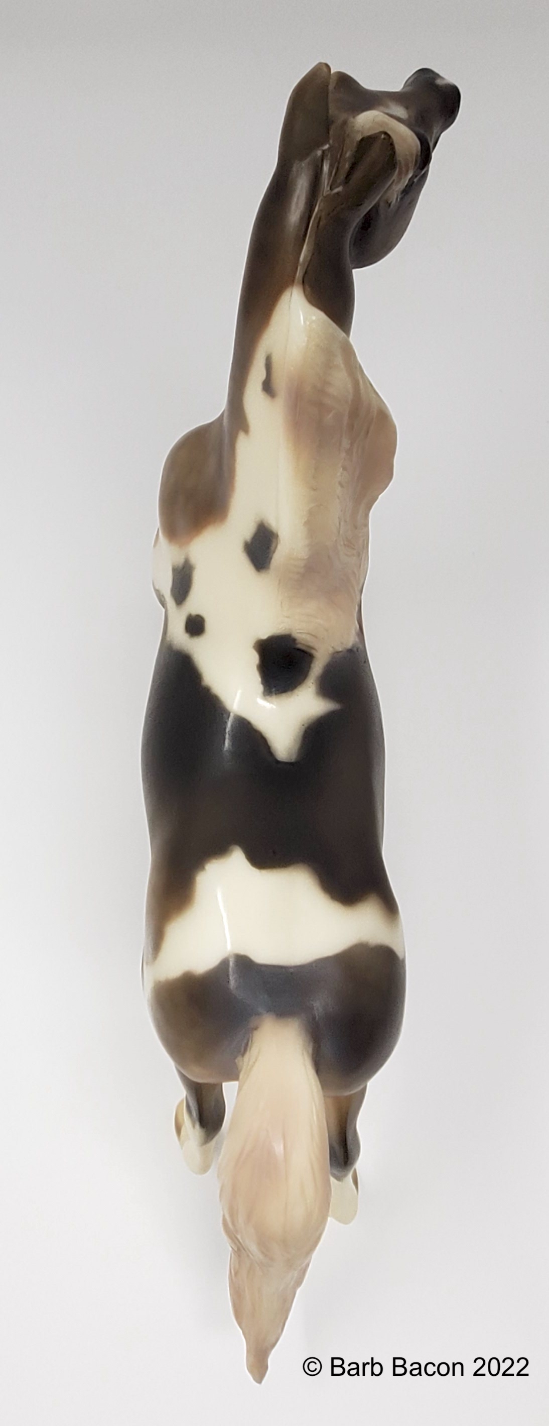 Silver Dapple Bay Tobiano Morgan | StoneHorseRef