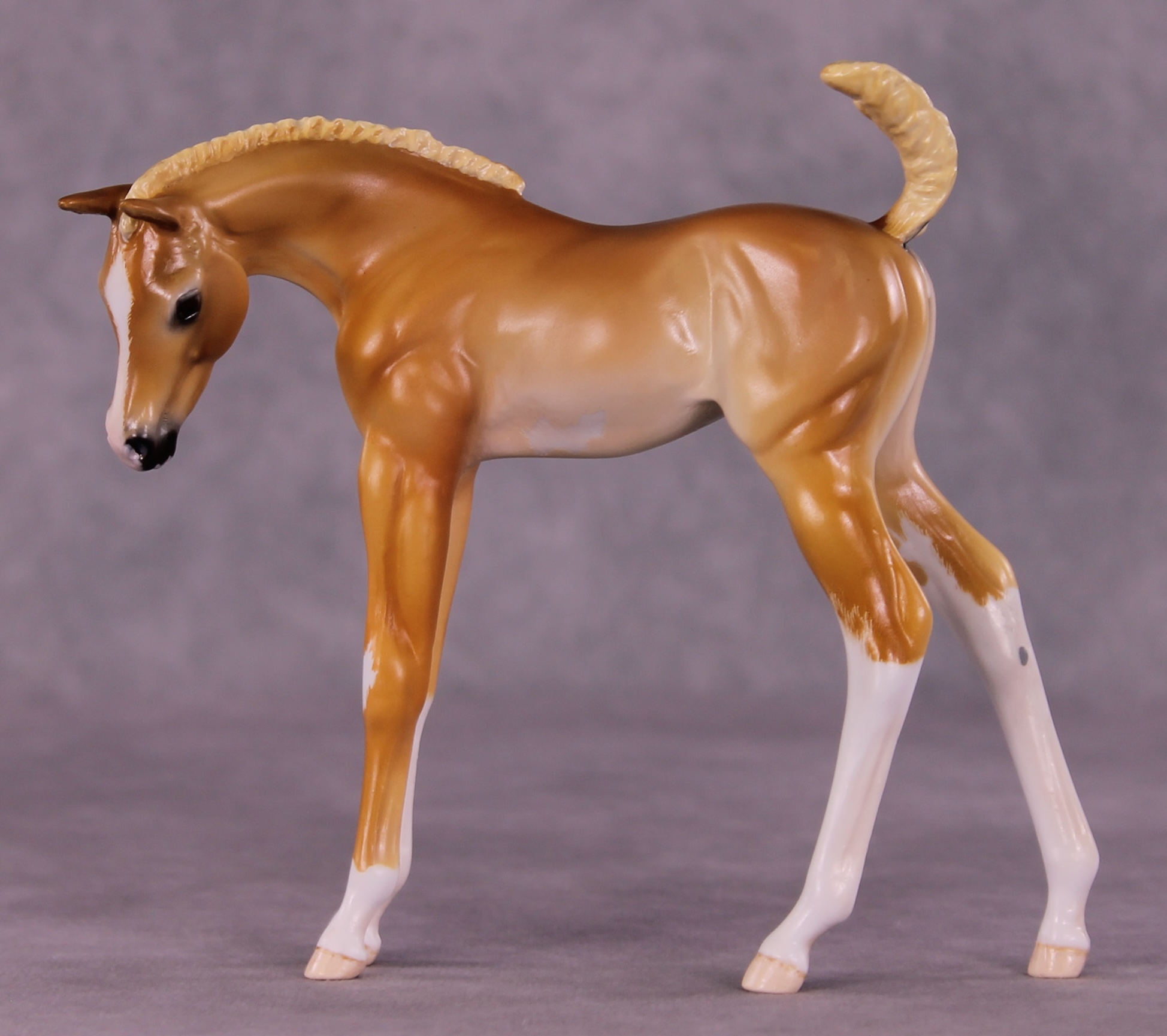 Gemstones 2025: September Arabians - Sarah | StoneHorseRef