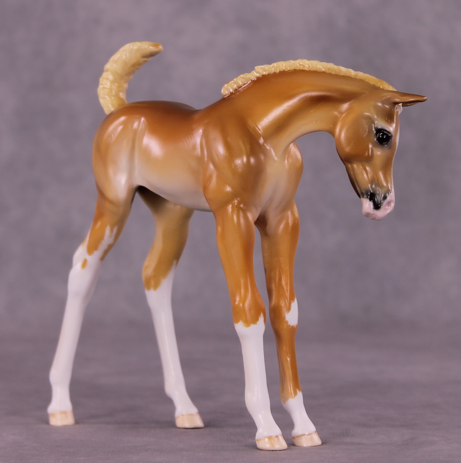 Gemstones 2025: September Arabians - Sarah | StoneHorseRef